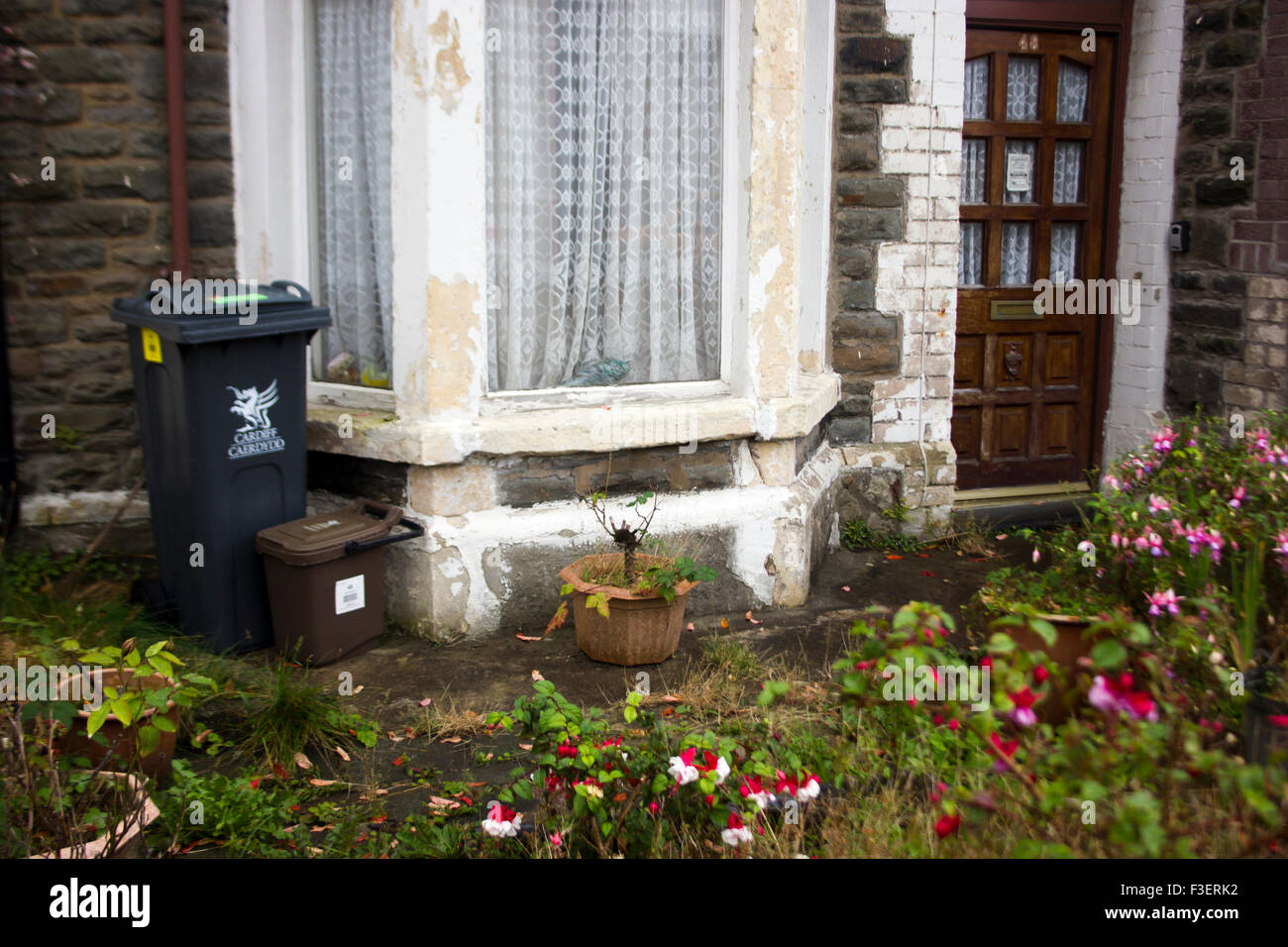 Messy garden hi-res stock photography and images - Alamy