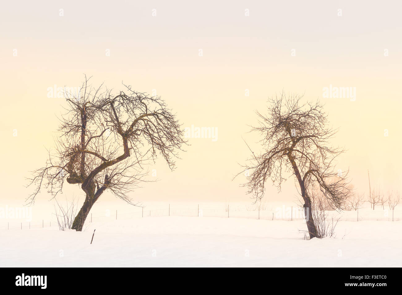Simple tree landscape hi-res stock photography and images - Alamy