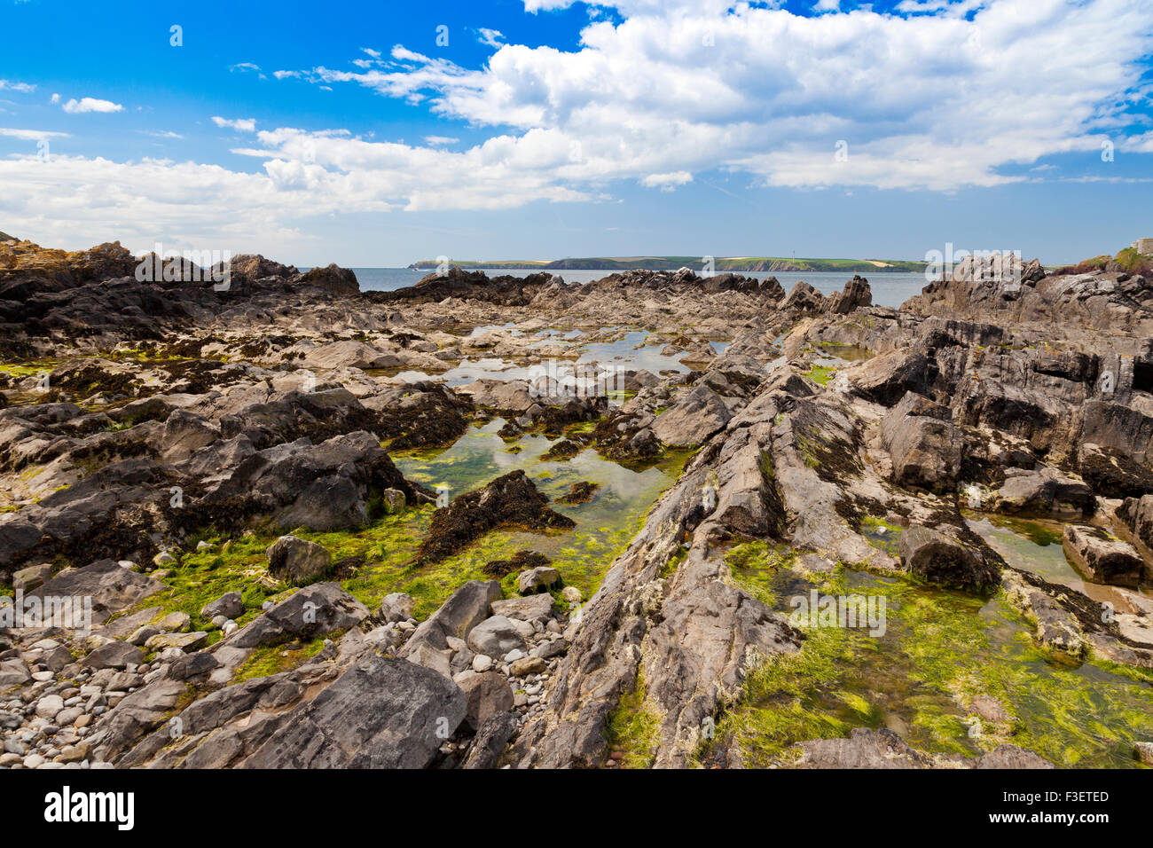 Rocky coast tidal pools hi-res stock photography and images - Alamy