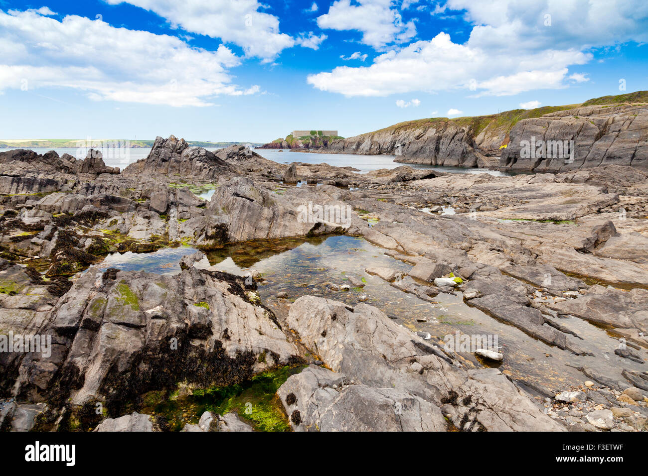 Tidal rock pools on the rugged foreshore of West Angle Bay in the ...