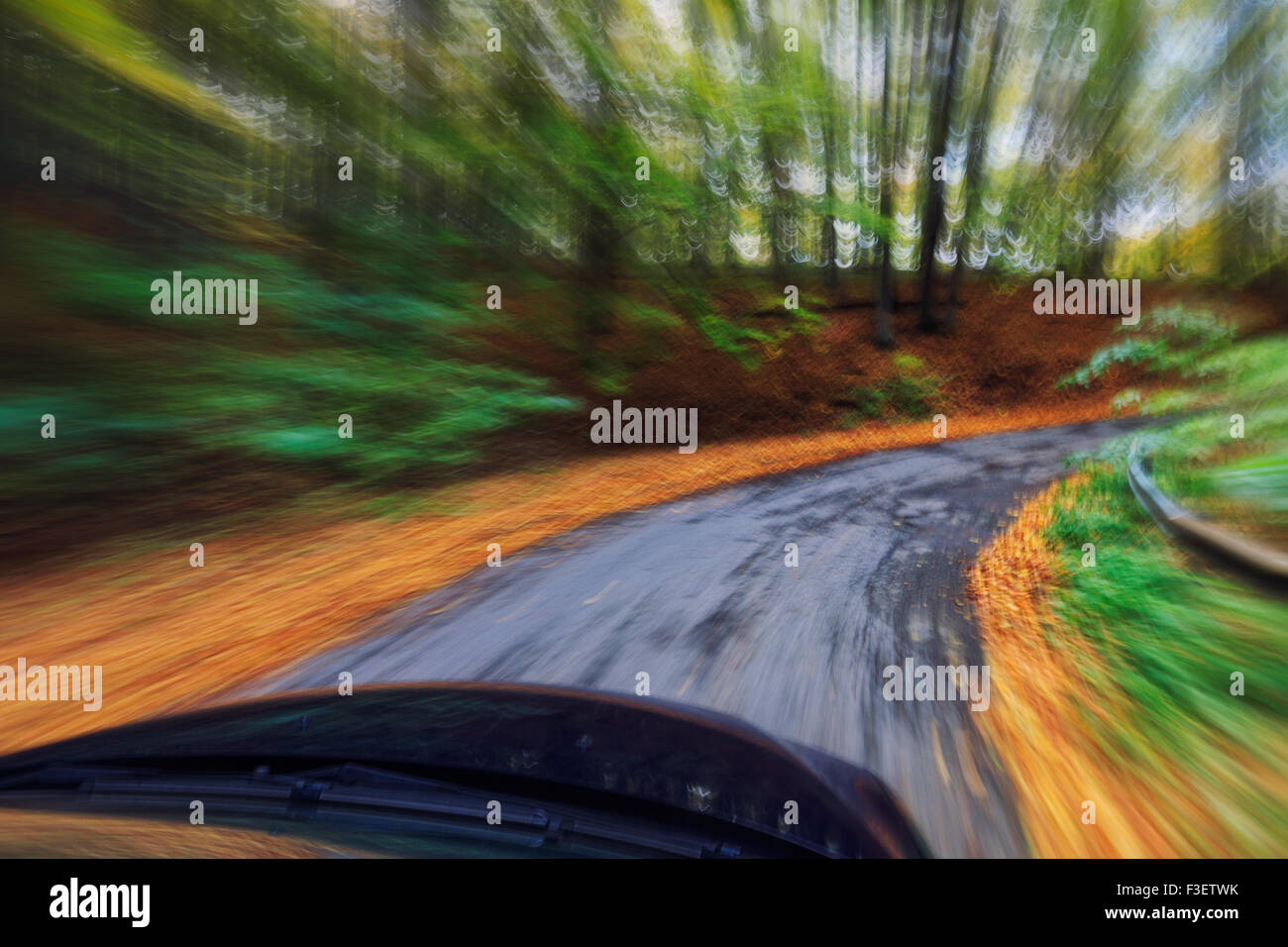 Car driving fast into autumn forest Stock Photo - Alamy