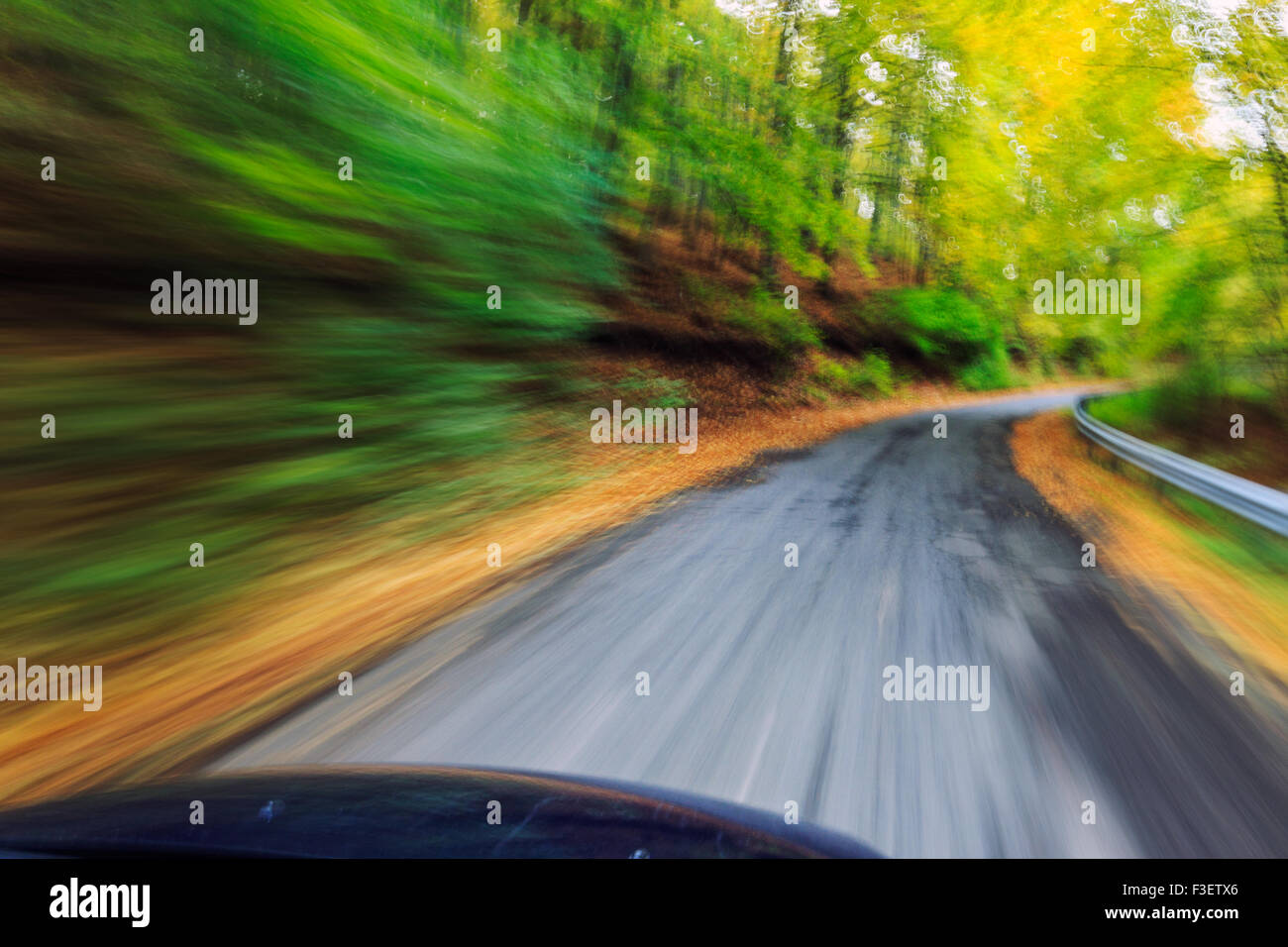 Car driving fast into autumn forest Stock Photo - Alamy