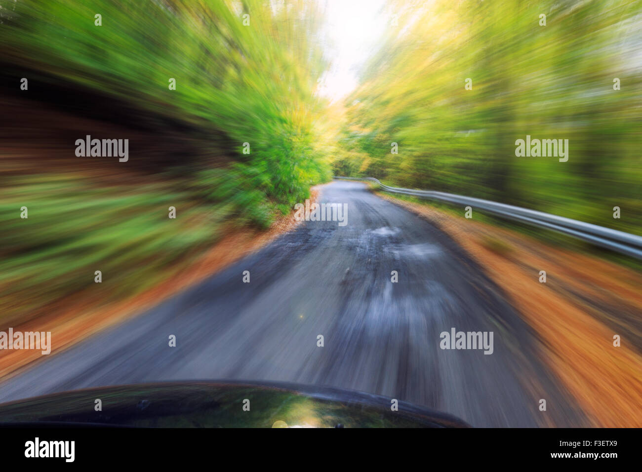 Car driving fast into autumn forest Stock Photo - Alamy