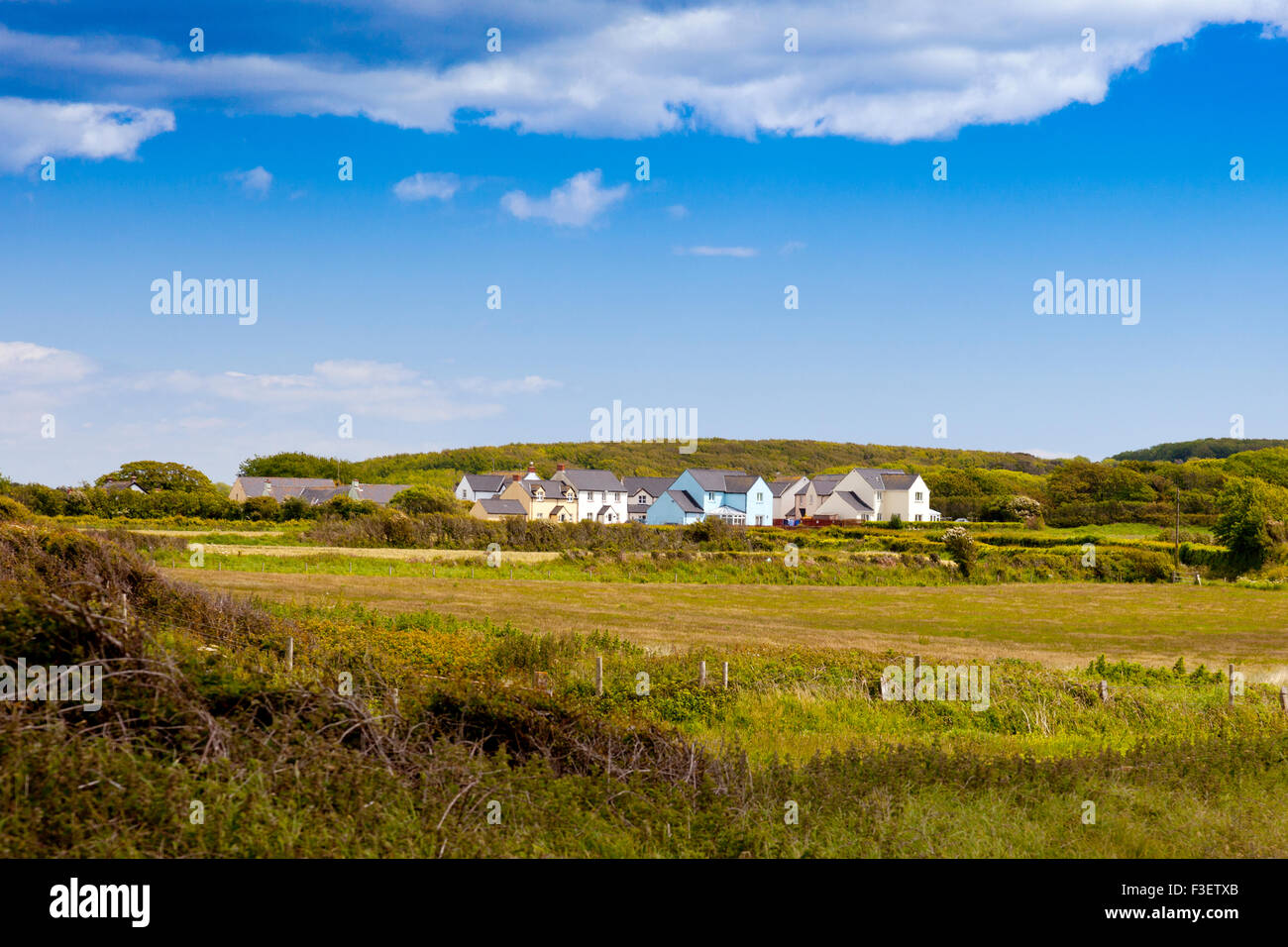 A modern housing development in a rural field near West Angle Bay in ...