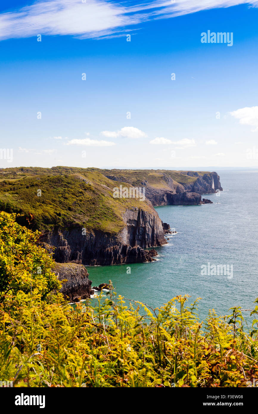 Looking along the dramatic coastal scenery towards Lydstep Point in the ...