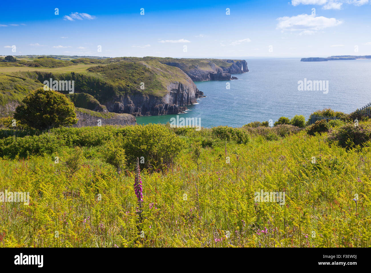 Looking along the dramatic coastal scenery towards Lydstep Point ...