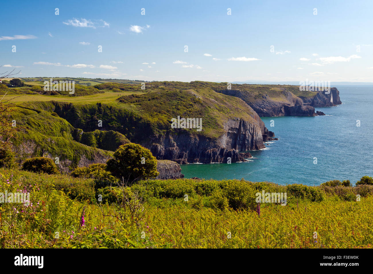 Looking along the dramatic coastal scenery towards Lydstep Point in the ...