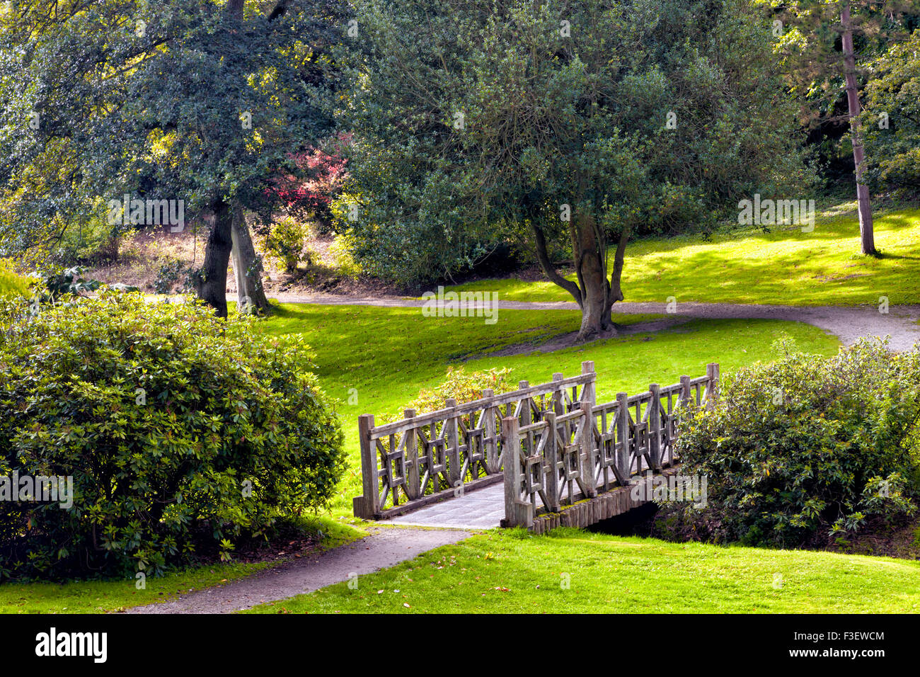 Wooden grey path bridge in a park with lush vegetation, trees, shrubs ...