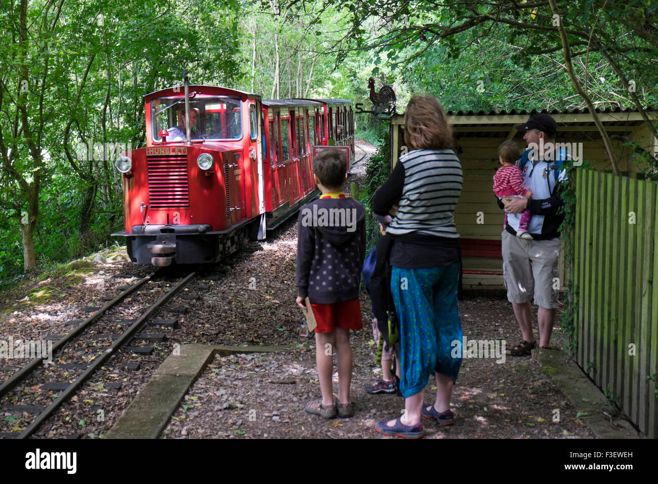 Family waiting for the train at perrygrove railway treetop adventure hi ...