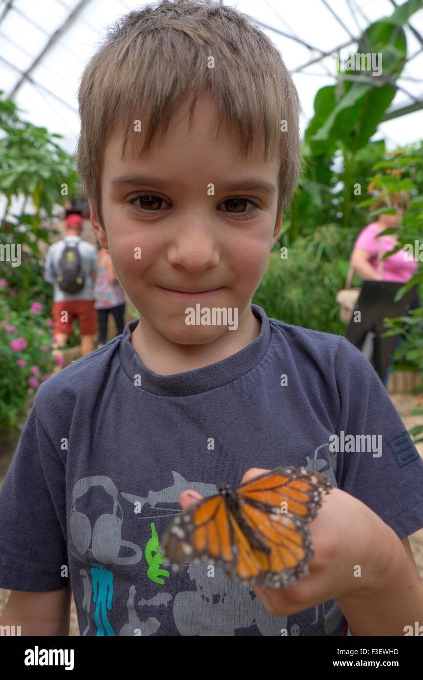 Wye valley butterfly farm and zoo hi-res stock photography and images ...