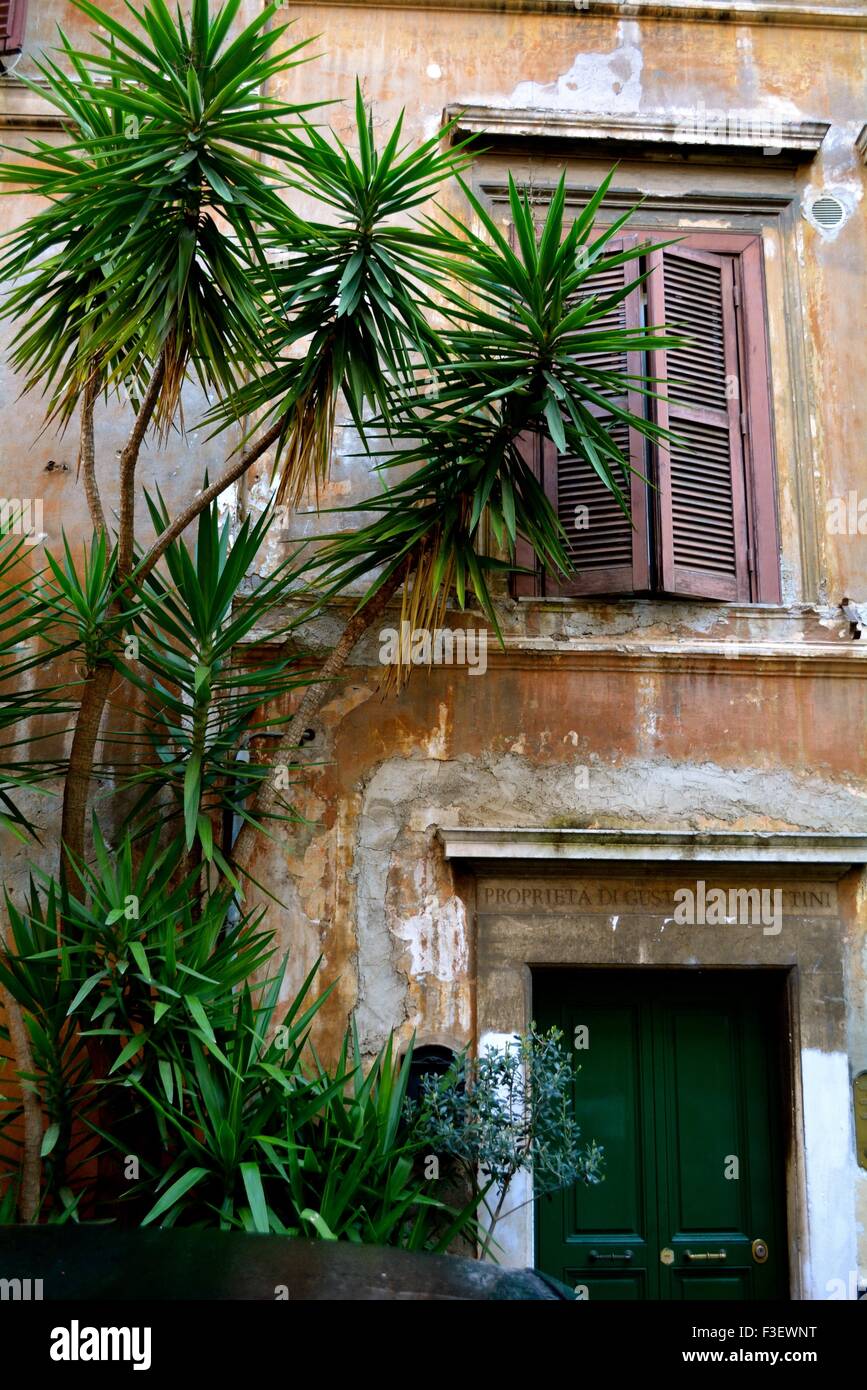 Yucca vacation hi-res stock photography and images - Alamy