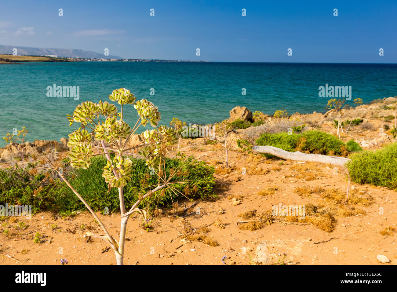 Vendicari Nature Reserve. Riserva naturale orientata Oasi Faunistica di ...