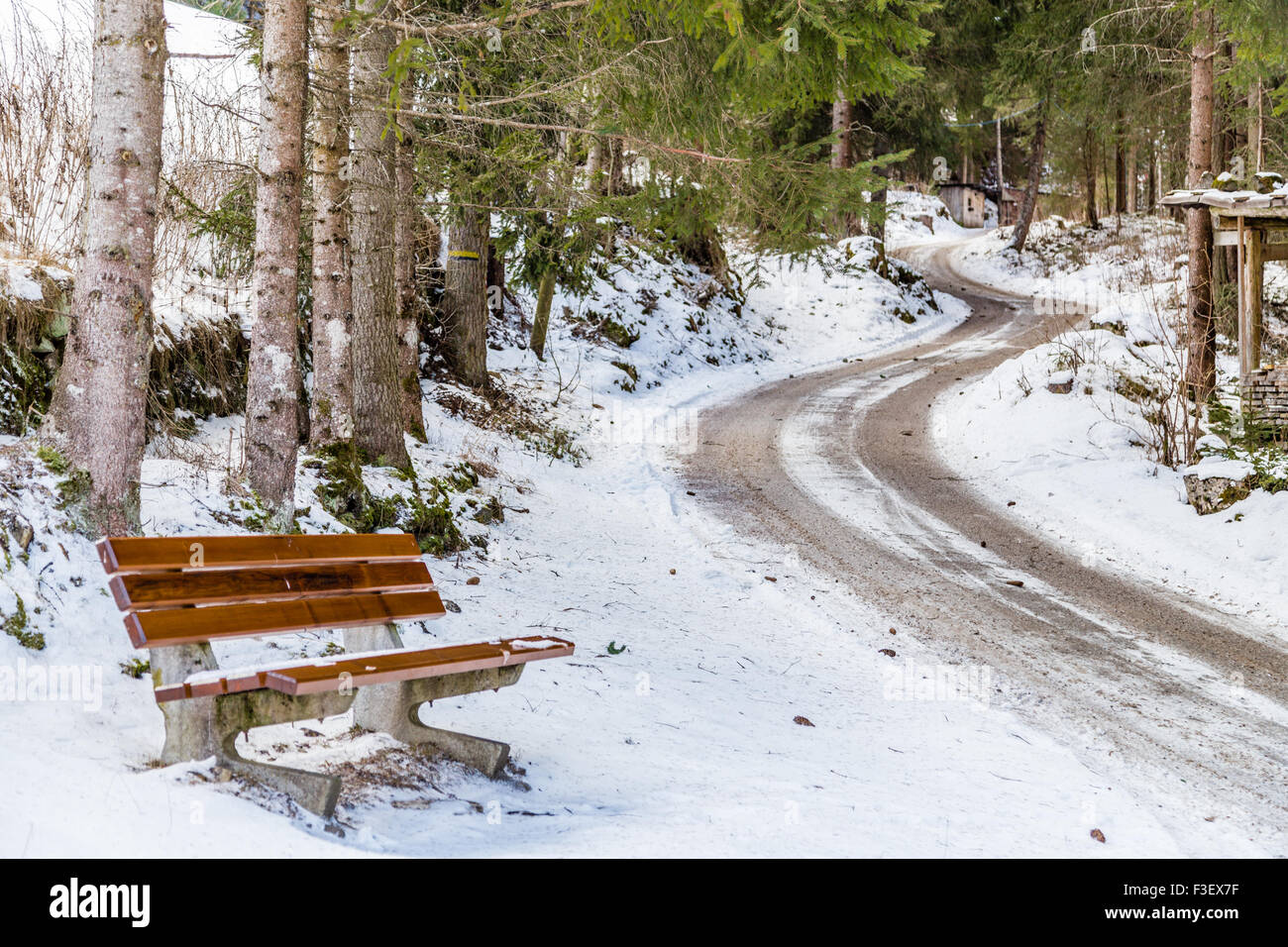 bench near dirt path under green conifers on the snowy Italian Alps ...
