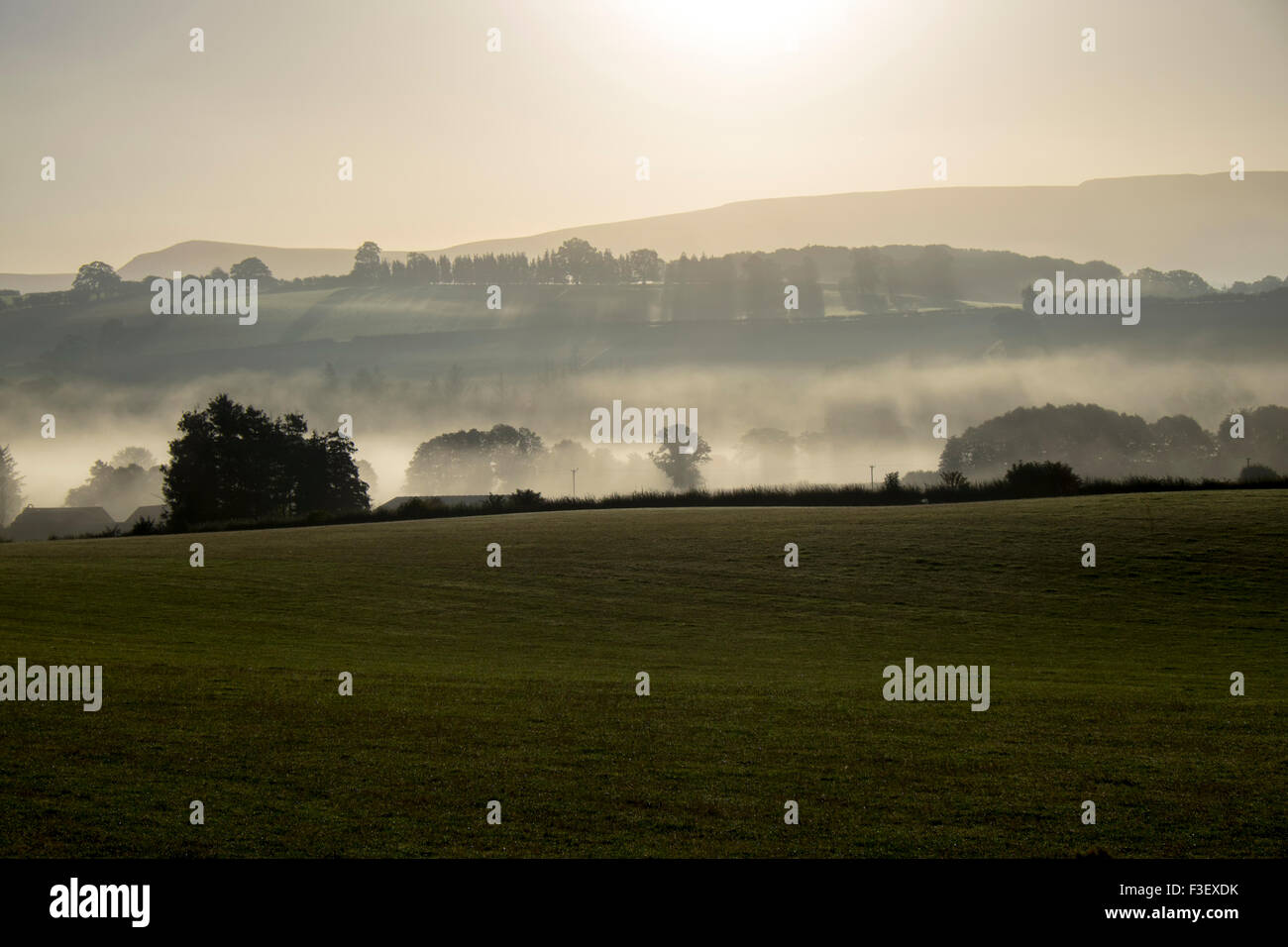 Uk misty field trees hi-res stock photography and images - Alamy