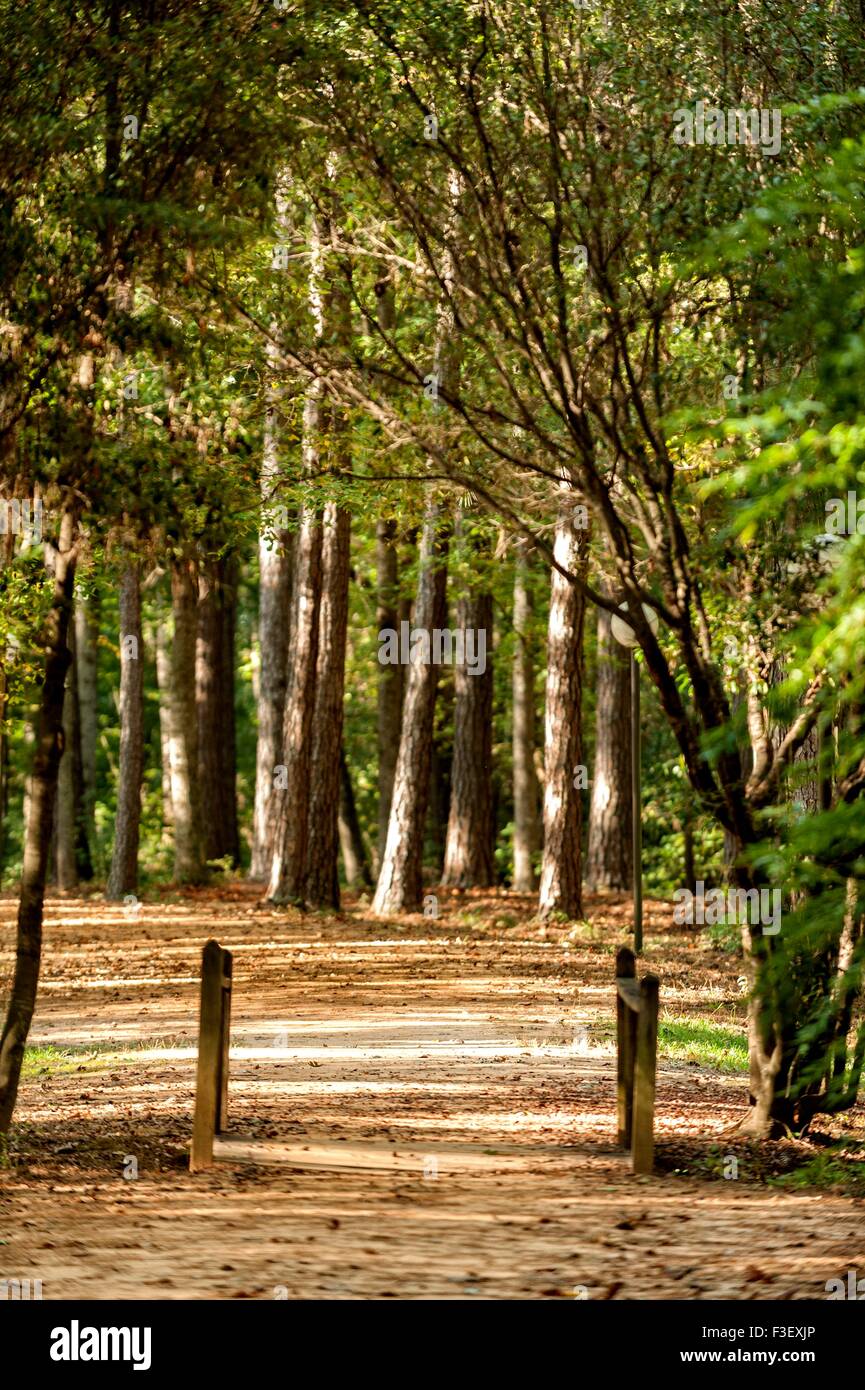 Early fall scenes in Northwest Alabama depicting mystery Stock Photo ...