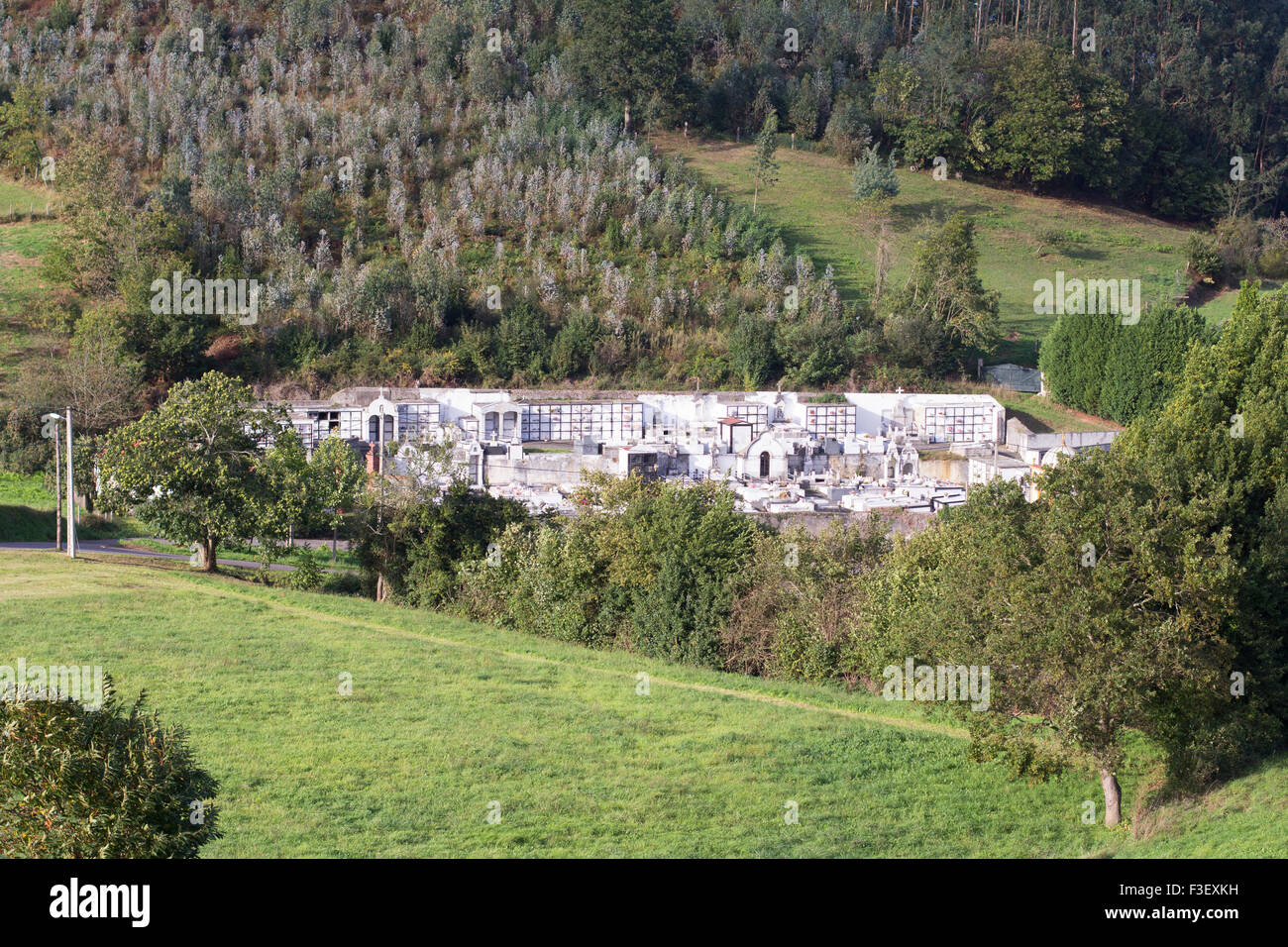 Aerial view of a cemetery Stock Photo - Alamy