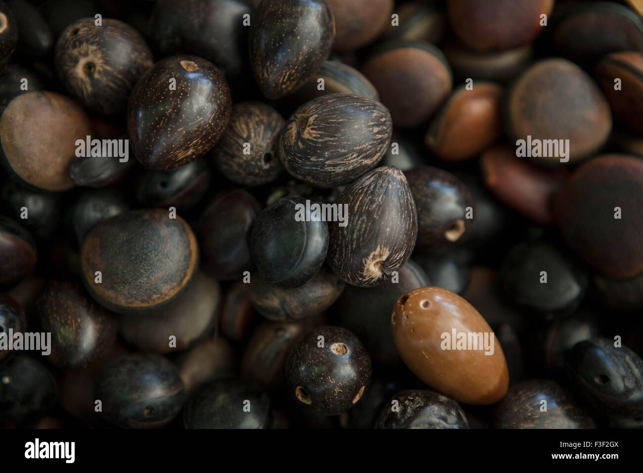 Shiny black seeds hi-res stock photography and images - Alamy