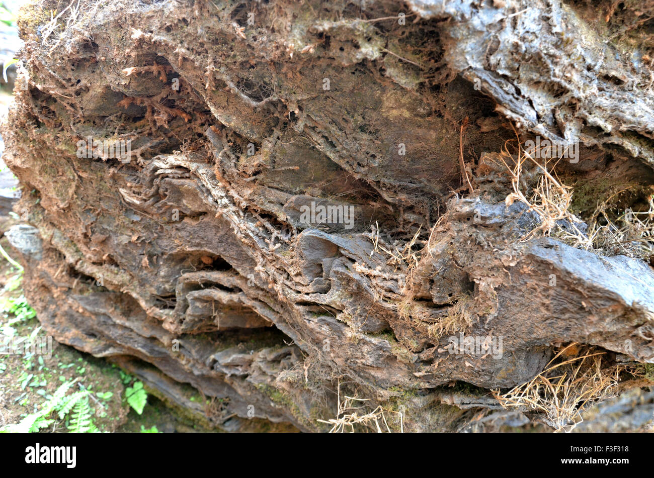 Layers of iron ore formed in the earth Stock Photo - Alamy