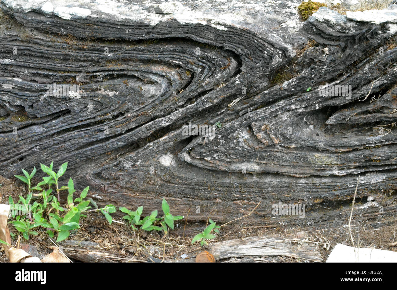 Layers of iron ore formed in the earth Stock Photo - Alamy
