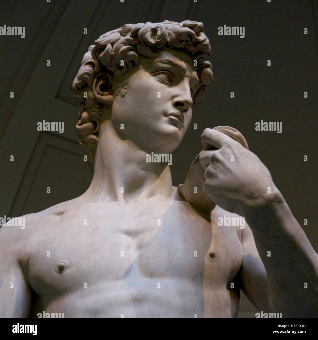 The David in Rome, Italy Stock Photo - Alamy