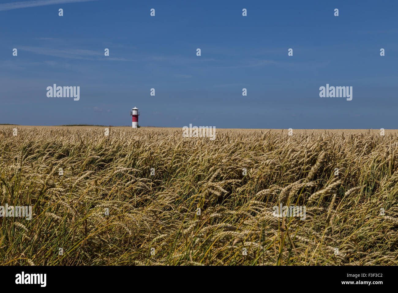 Lighthouse in the fields Stock Photo - Alamy