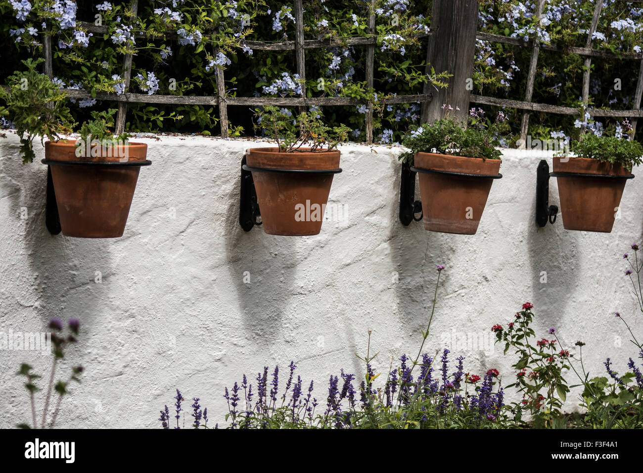 The grounds at Rancho Los Alamitos Historic Ranch and Gardens in the ...