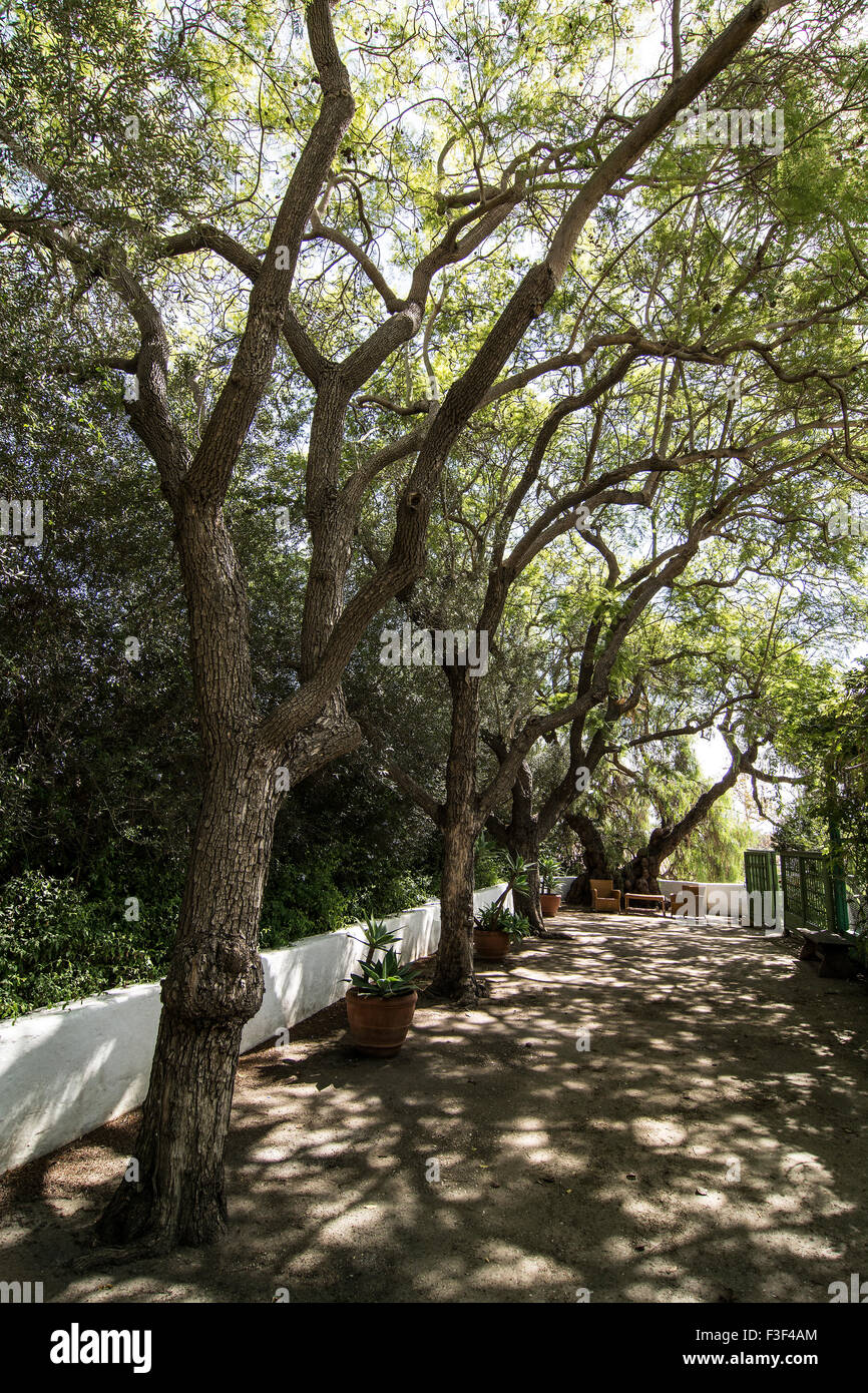 The grounds at Rancho Los Alamitos Historic Ranch and Gardens in the ...