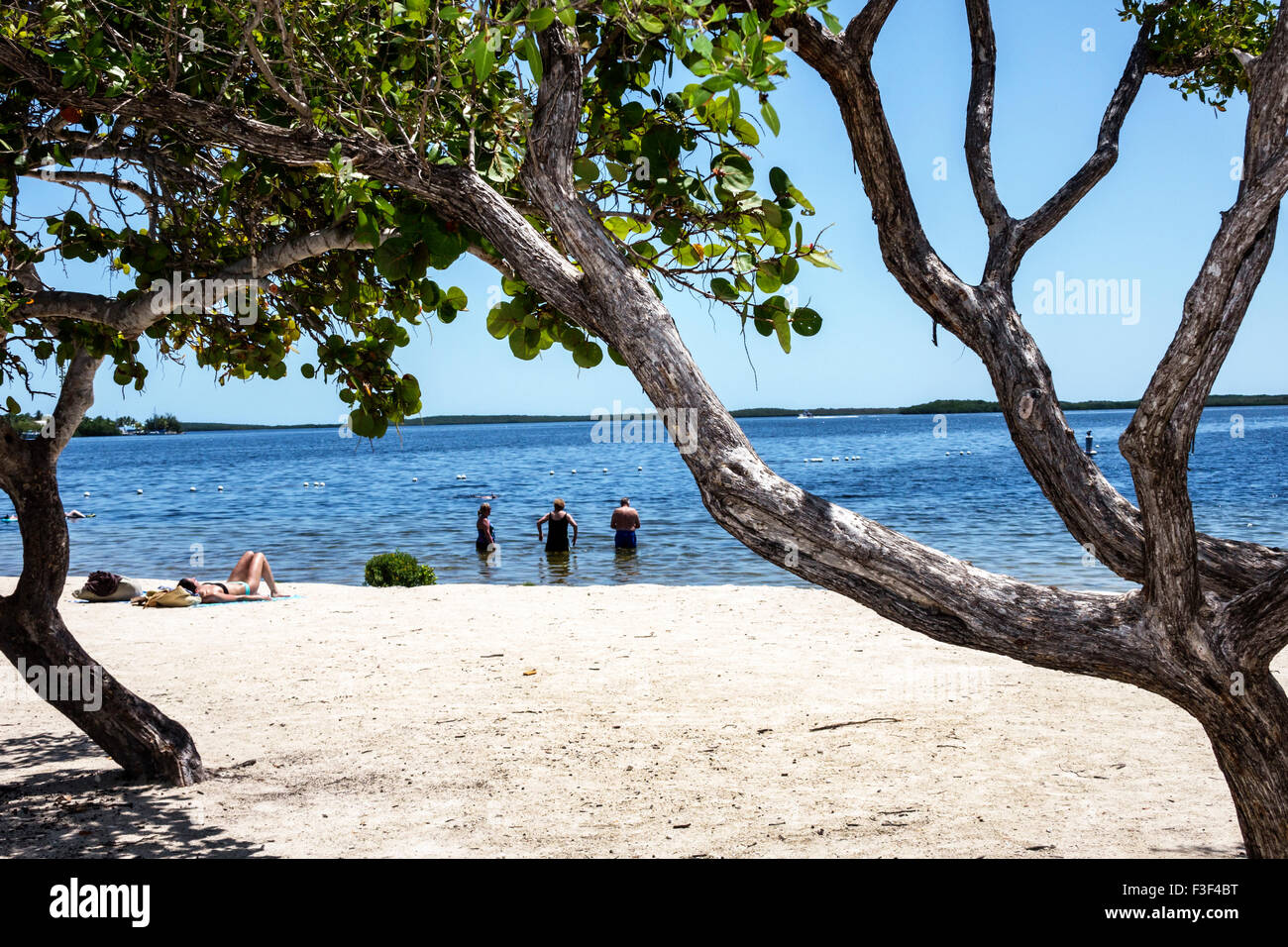 Key Largo Florida Keys,John Pennekamp Coral Reef State Park,Largo Sound ...