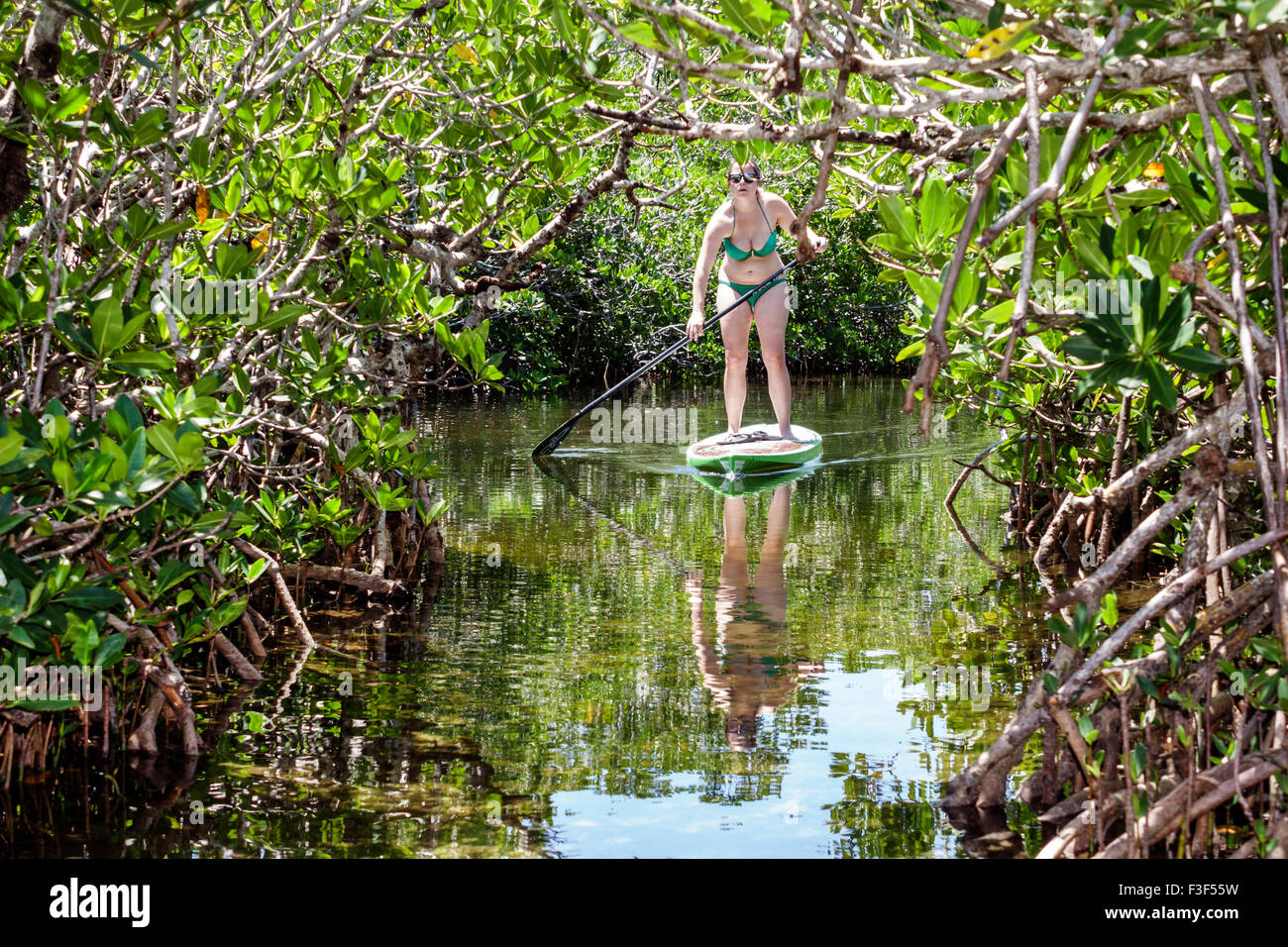 Key Largo Florida Keys,John Pennekamp Coral Reef State Park,Largo Sound ...