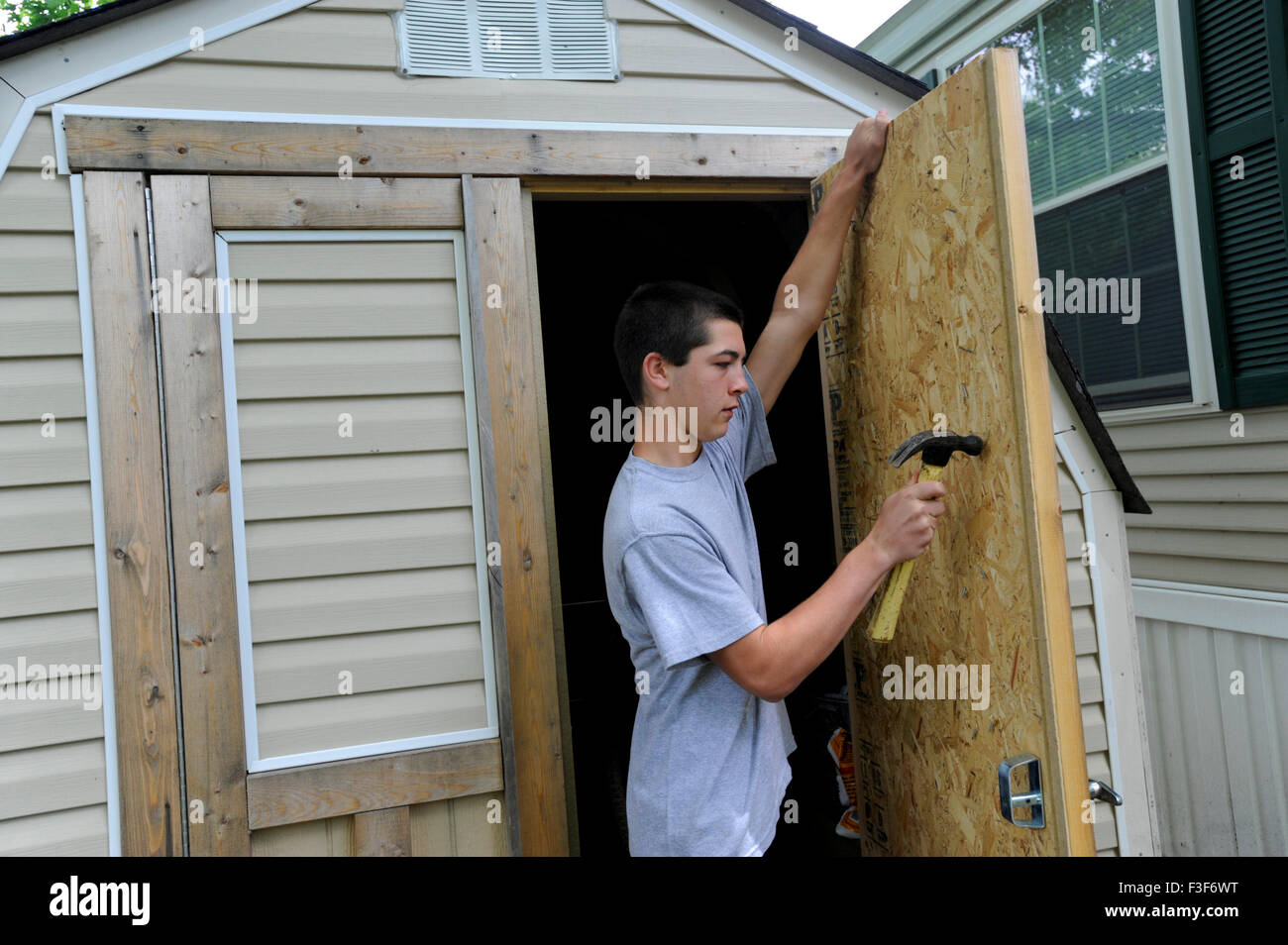 12-13 year old boy using a hammer to repair a shed Stock Photo - Alamy