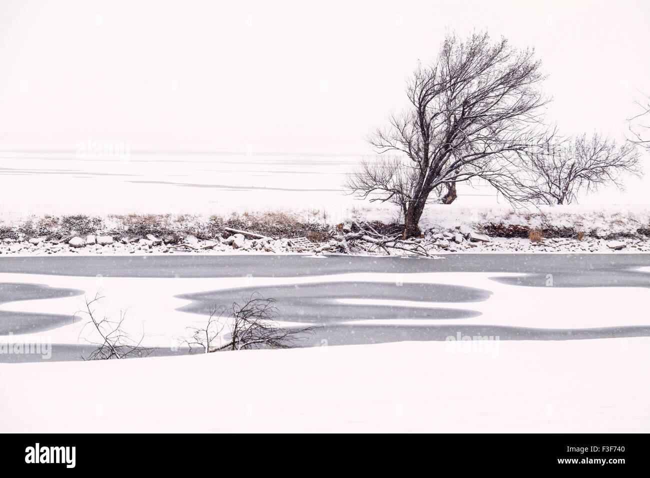 A snowy winter weather scene showing a tree, the North Canadian river ...