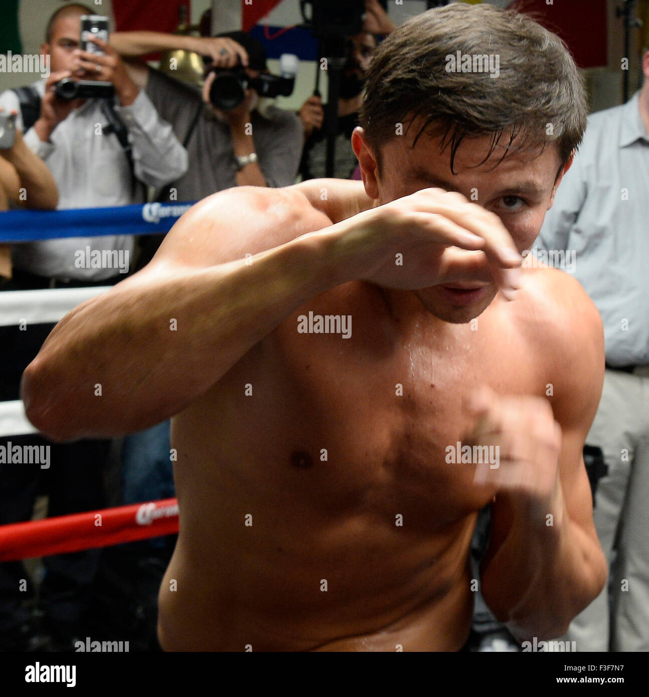 Wild card boxing gym hi-res stock photography and images - Alamy