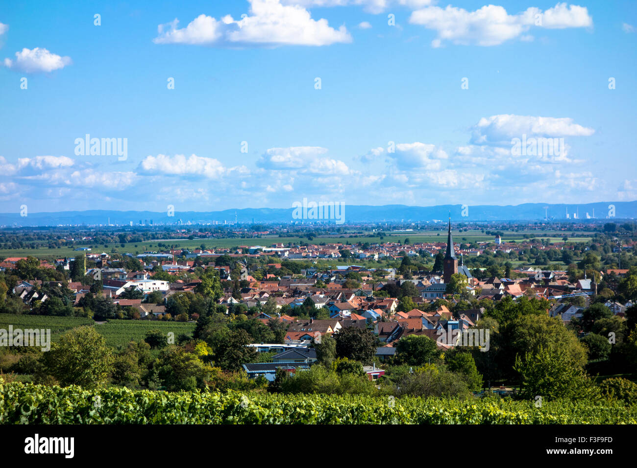 Forst in Rhineland-Palatinate, Germany Stock Photo - Alamy