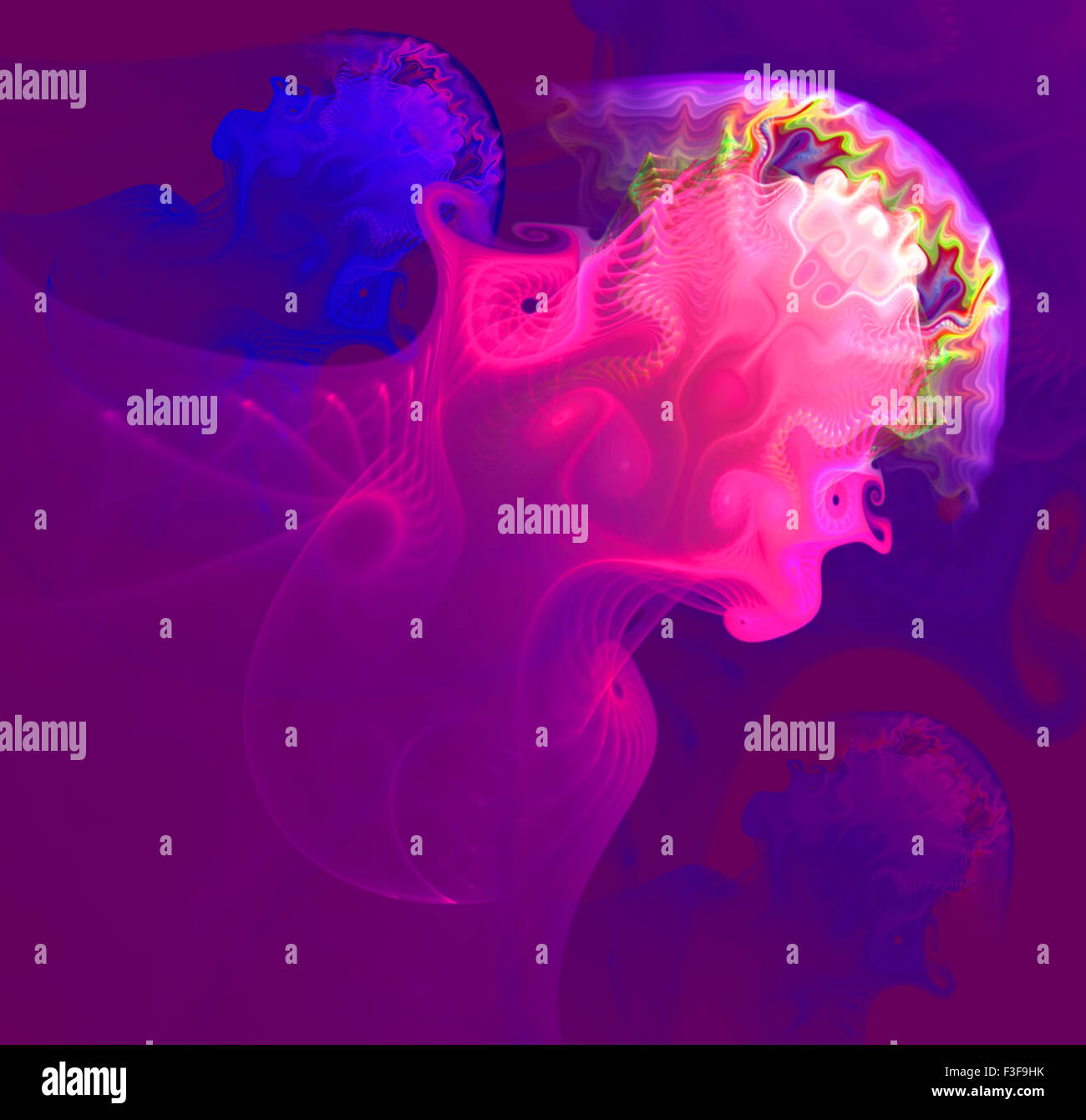 The jellyfish fog hi-res stock photography and images - Alamy