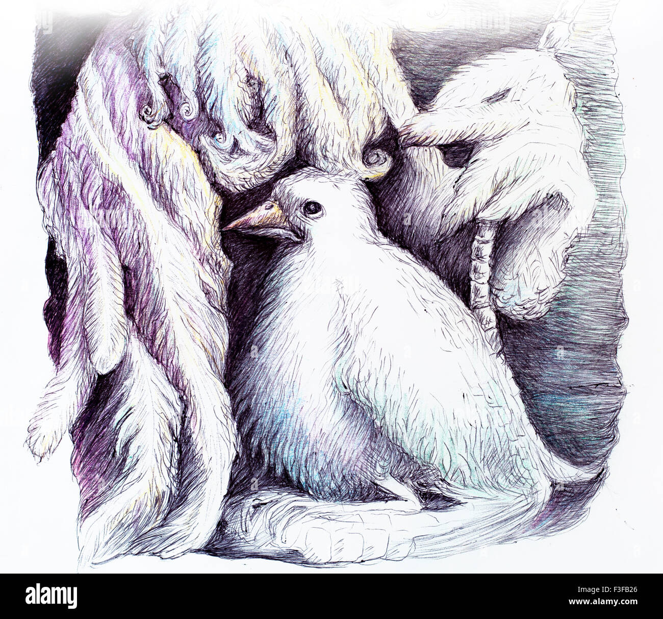 Beautiful detailed fantasy drawing of a feather fairy woman and a white ...