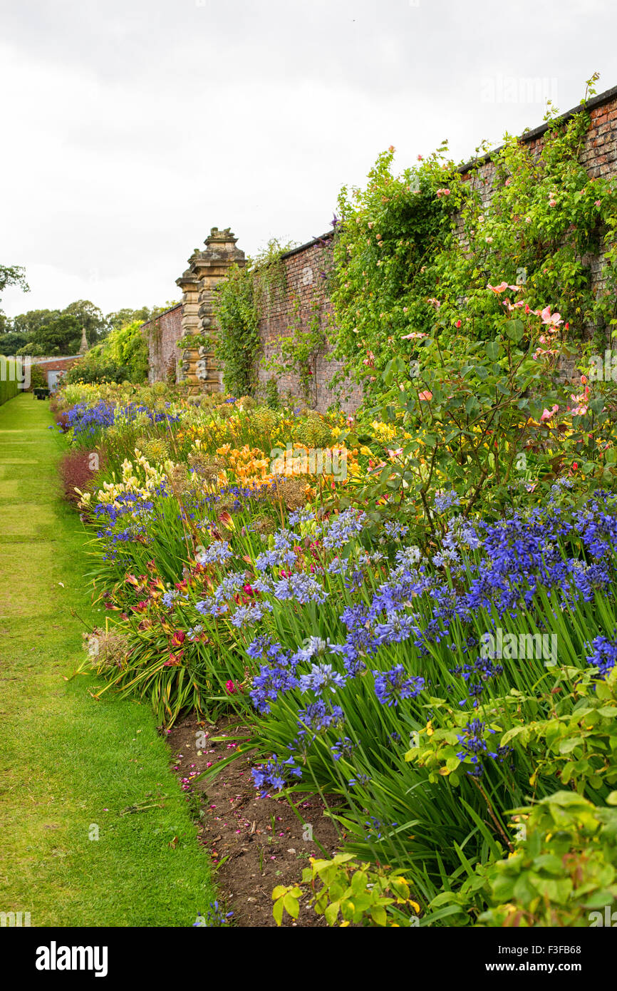 Flower border in an English walled garden Stock Photo - Alamy