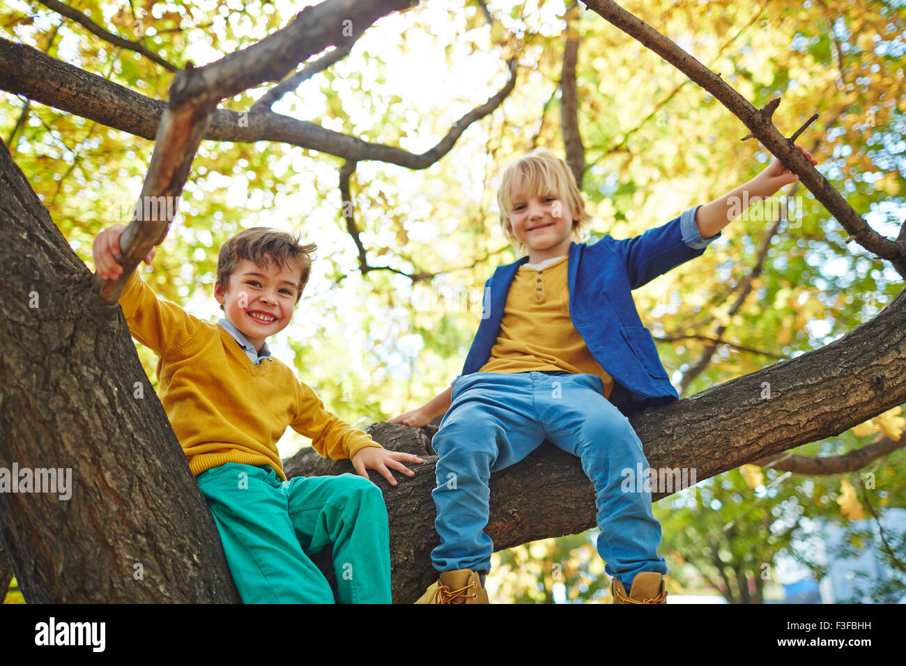 Two happy boys sitting on tree branch and looking at camera Stock Photo ...