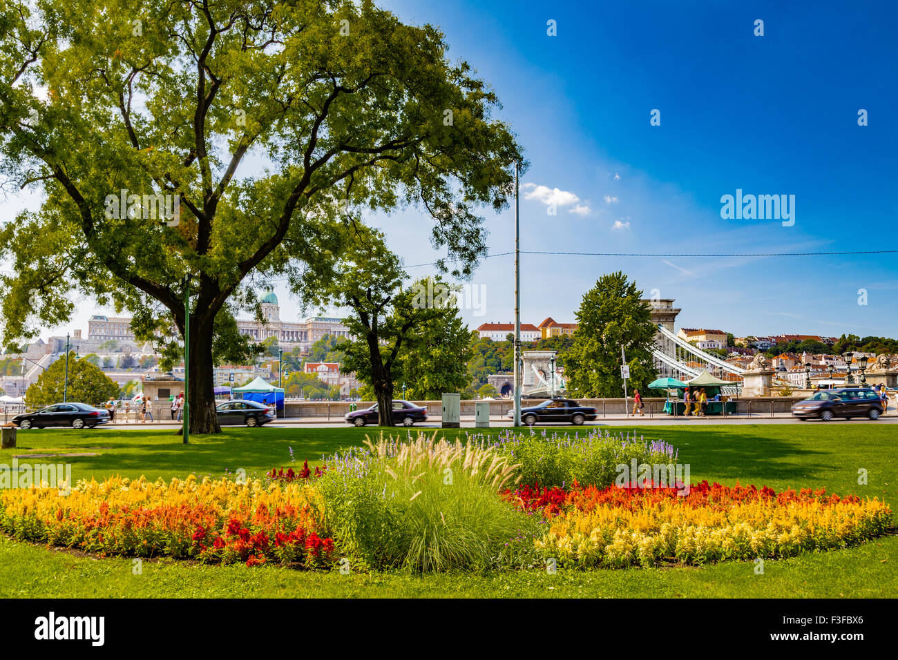 Flower bed in Budapest: red, purple, lilac, yellow, orange with the ...