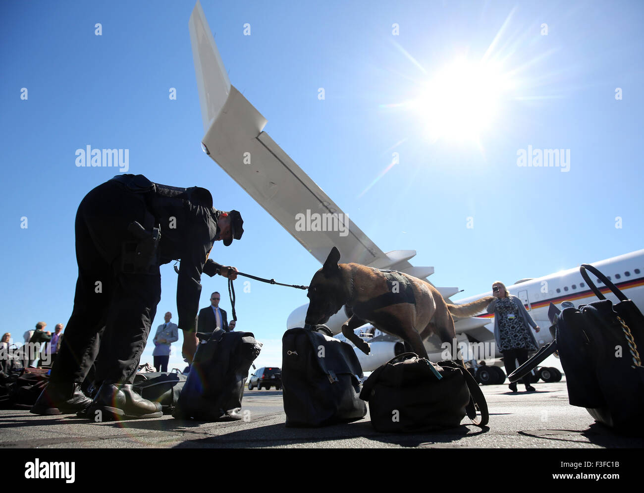 Bomb sniffing dog airport united states hi-res stock photography and ...