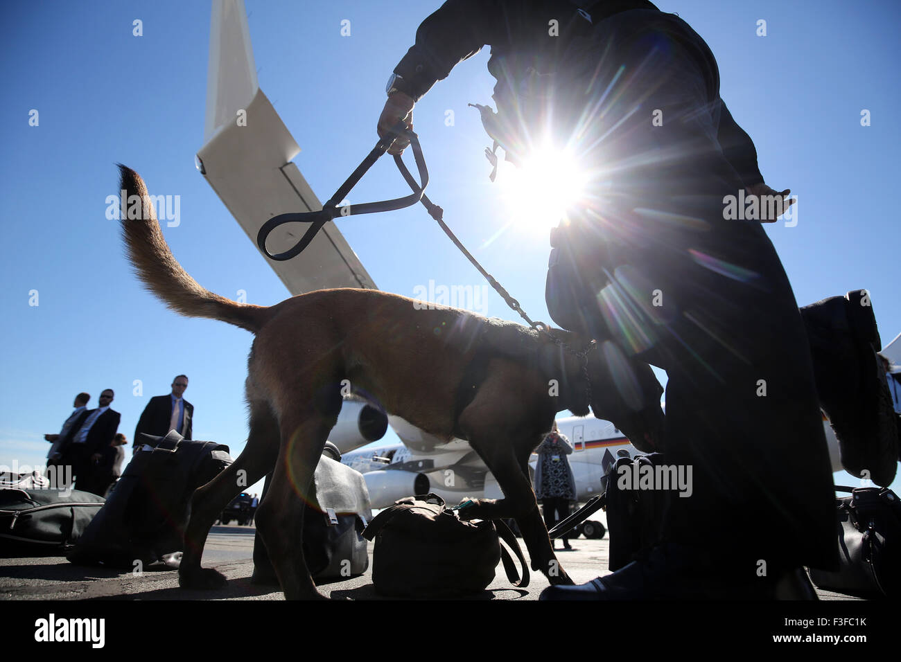 Bomb sniffing dog airport united states hi-res stock photography and ...