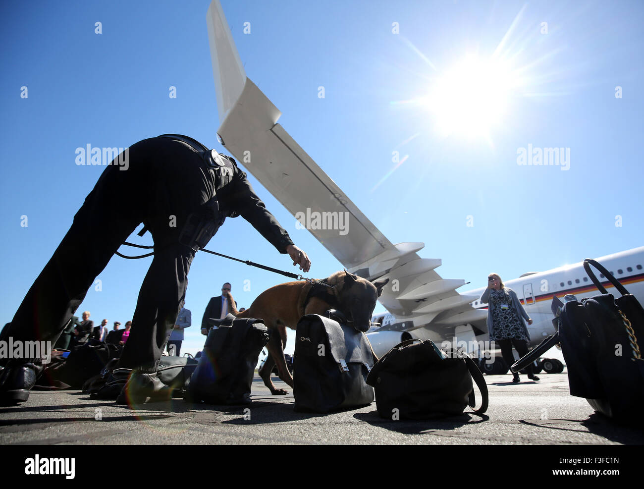 Bomb sniffing dog airport united states hi-res stock photography and ...