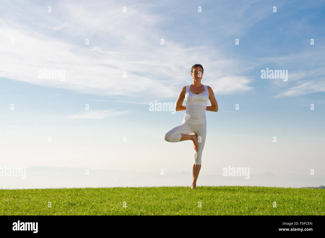 Young woman practising Hatha-Yoga outdoor, showing the pose vrikshasana ...
