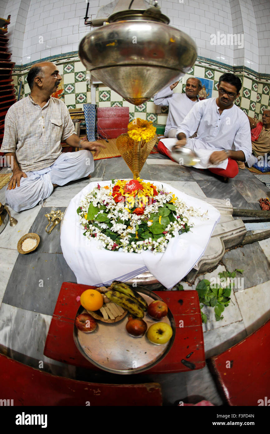 Pandit doing pooja hi-res stock photography and images - Alamy
