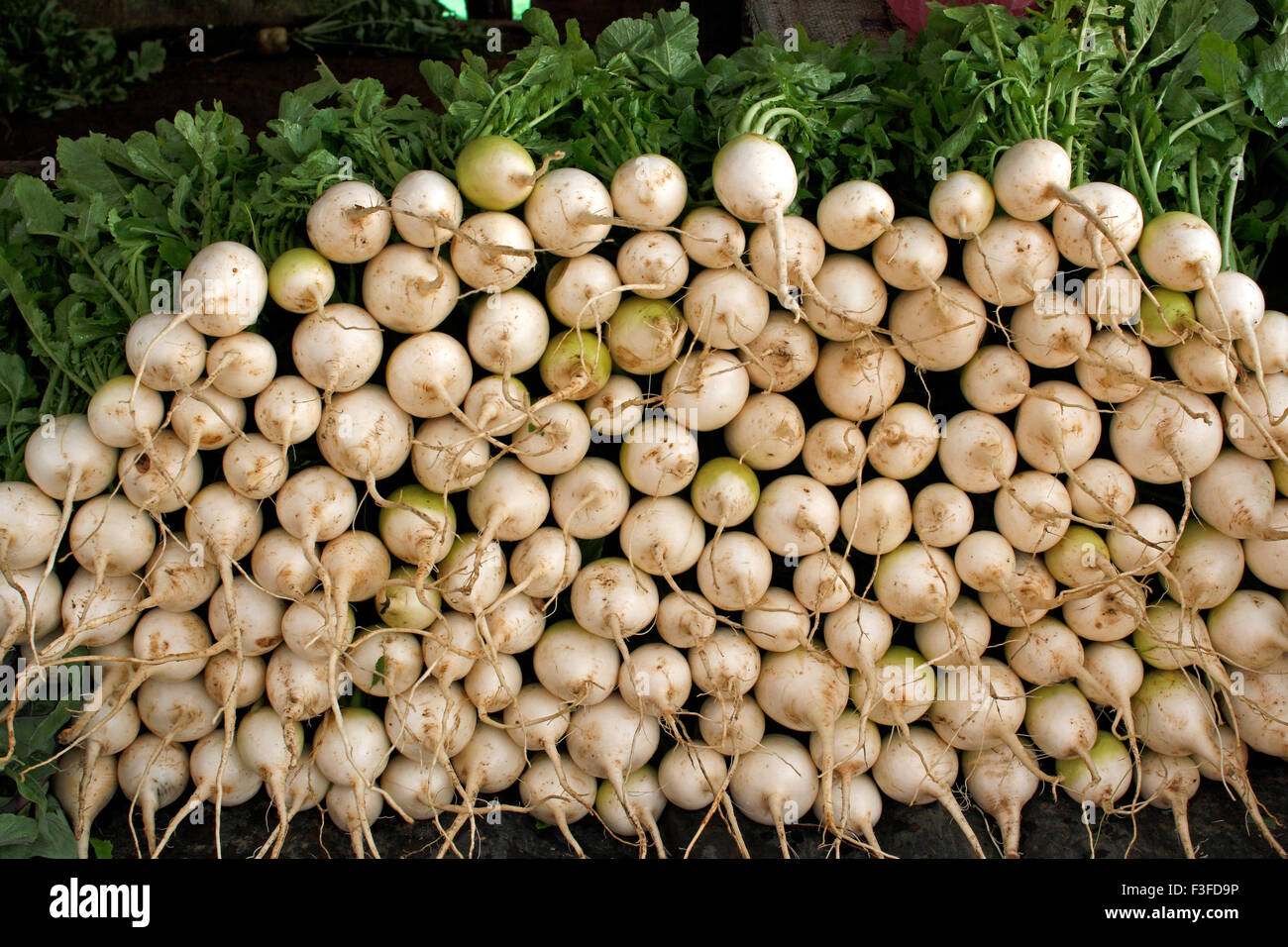 Fresh vegetables ; Sri Lanka Stock Photo - Alamy