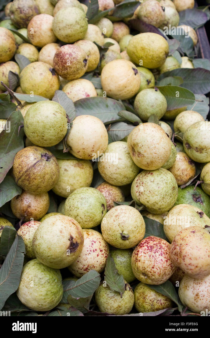 Benaras food hi-res stock photography and images - Alamy