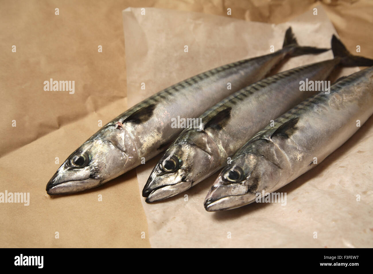 Sea food ; Mackerel fish Bangda fish kept on brown paper Stock Photo ...