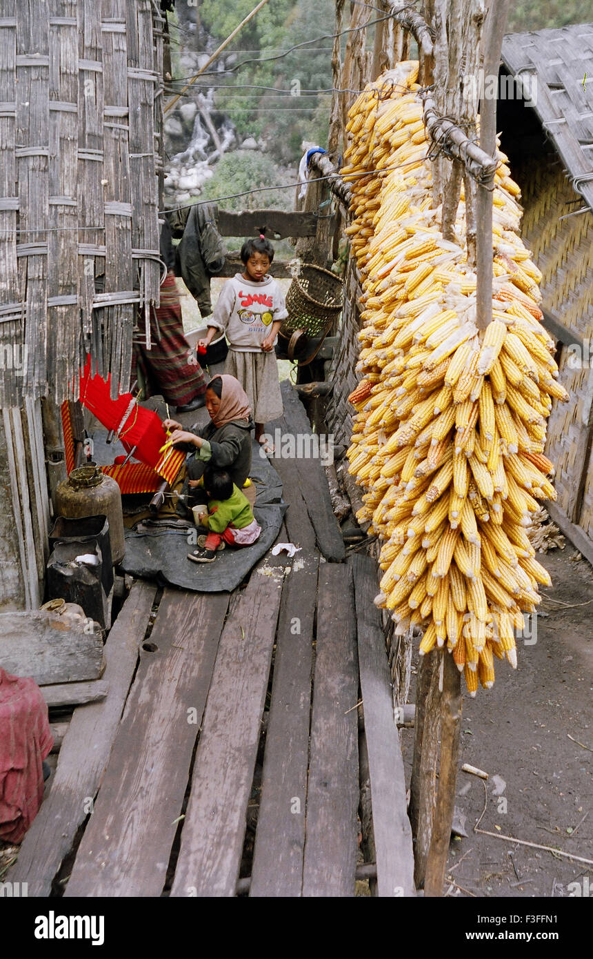 Corn drying ; woman working ; weaving carpet ; Himachal Pradesh ; India ...
