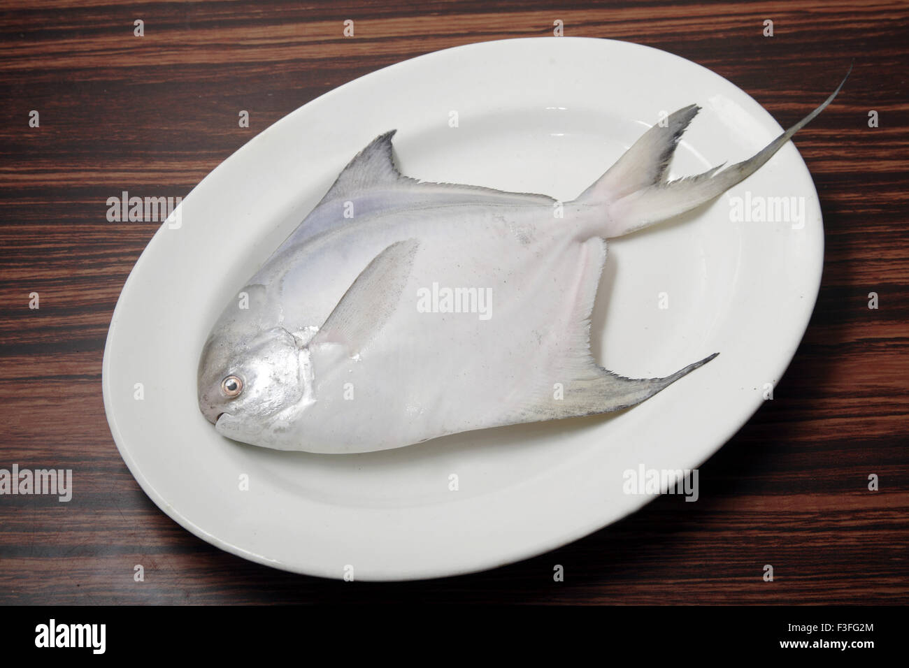 Fish ; one Pomfret ; raw fish; Sea fish; Non vegetarian food Stock ...