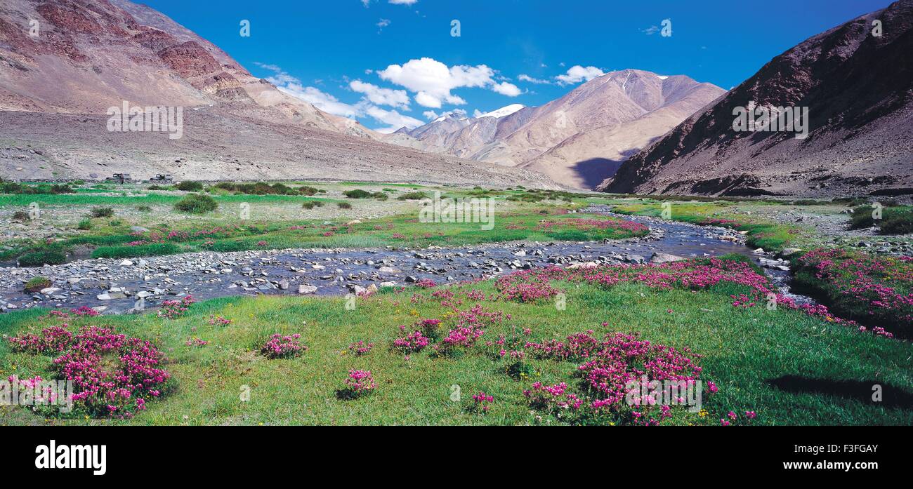 River ; Kullu valley ; Kulu ; Kullu ; Himachal Pradesh ; India ; Asia ...