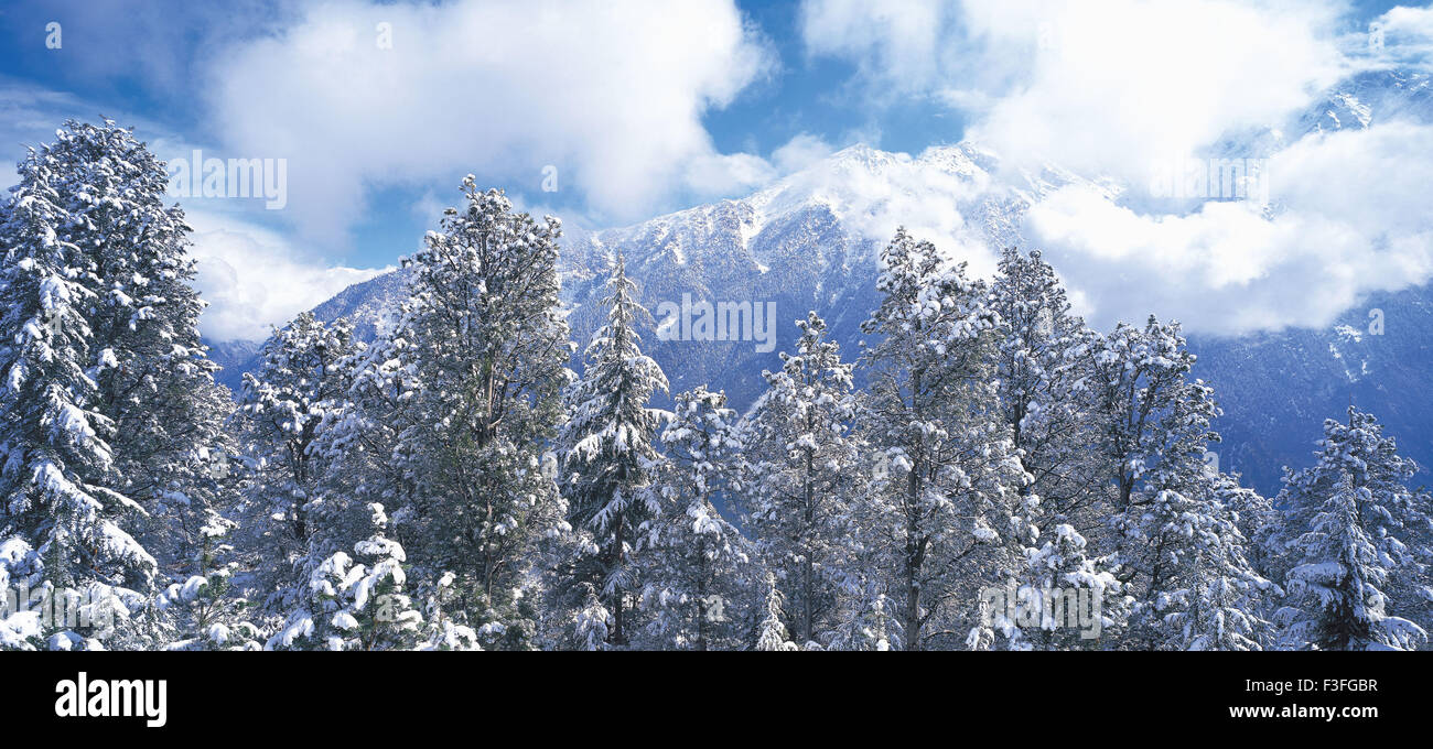 Winter ; Himalayas mountain ; himalaya mountains ; himalayan landscape ...
